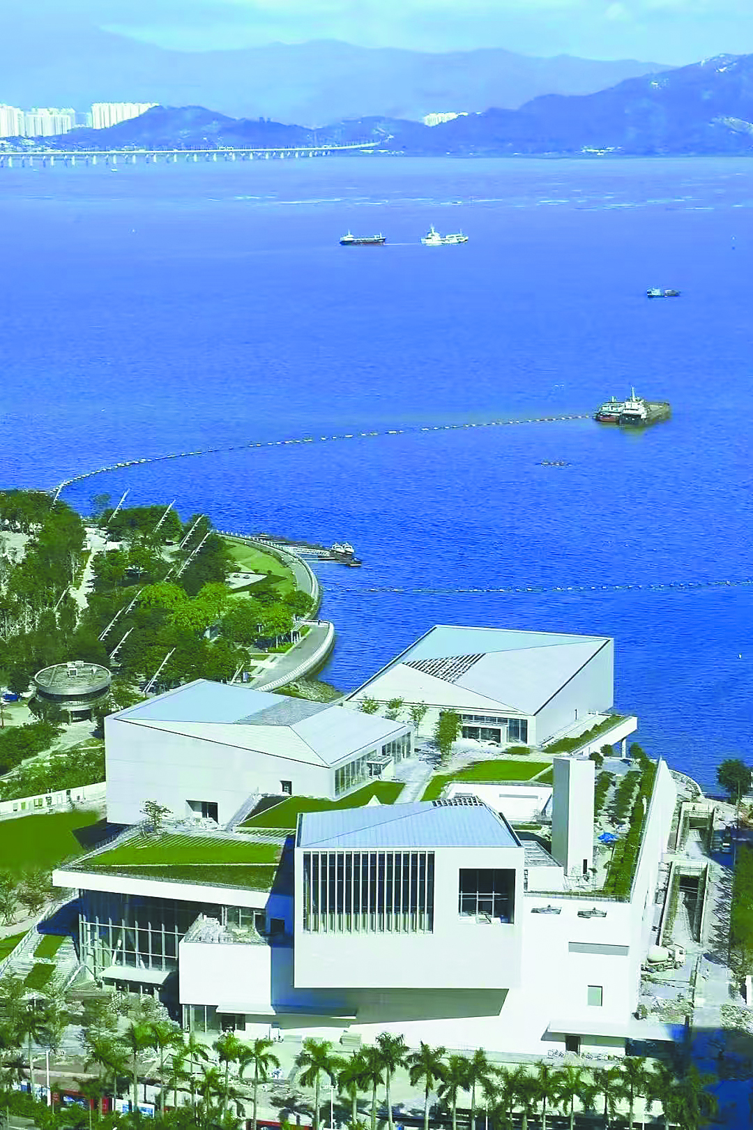 Shenzhen, where art codes the future | Amazing Shenzhen